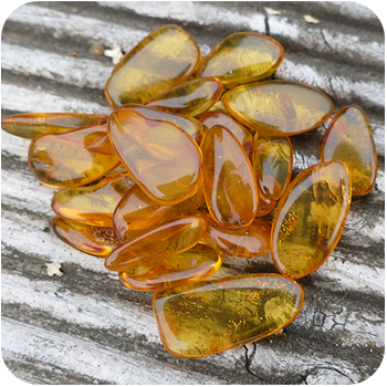 Authentic Baltic amber jewelry from Lithuania, Poland, Latvia ★ Just ...